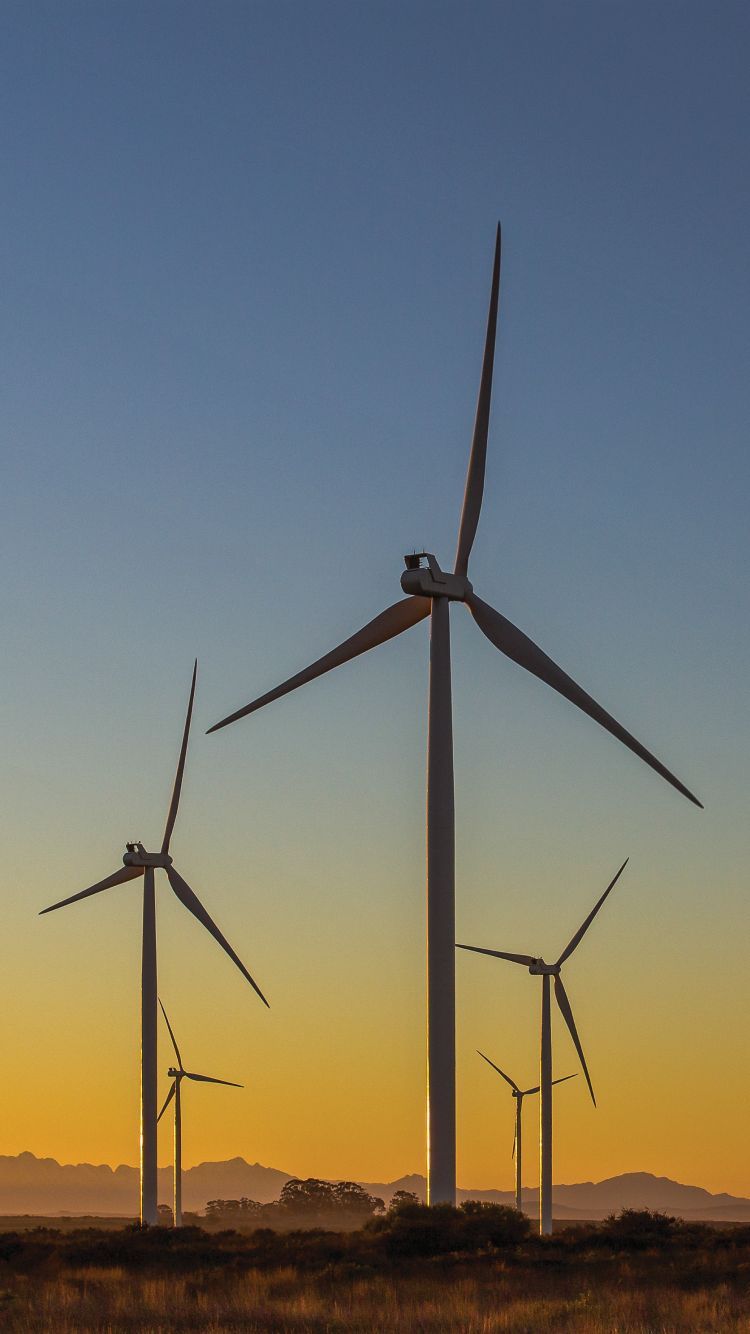 Our Board | Savannah Energy